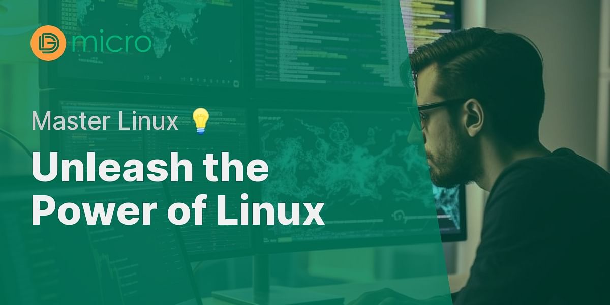 What Are The Potential Applications After Mastering The Linux Command Line