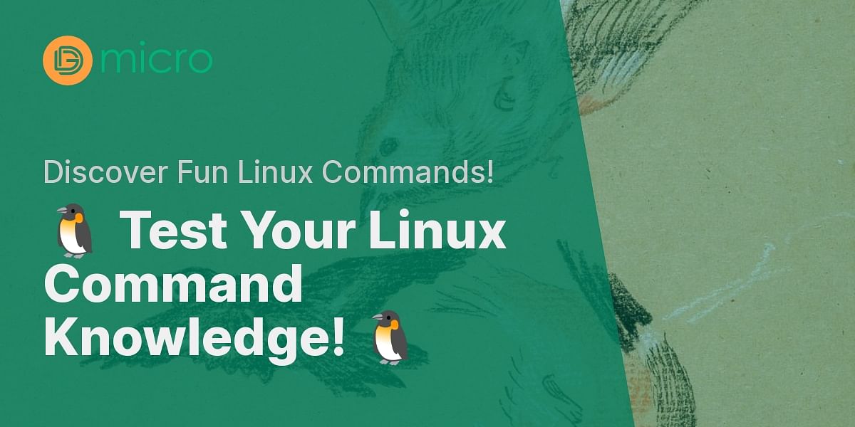 Amusing Linux Commands Quiz | Test Your Knowledge | DG Micro Amusing Linux Commands Quiz | Test Your Knowledge | DG Micro