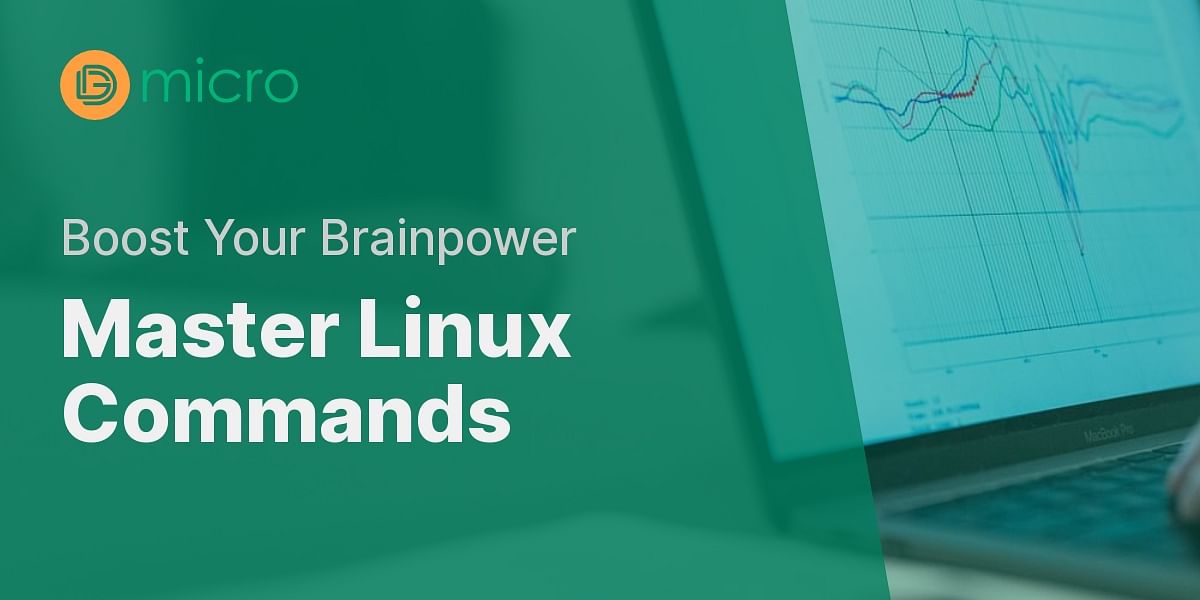 Linux Commands Knowledge Test Test Your Understanding Dg Micro