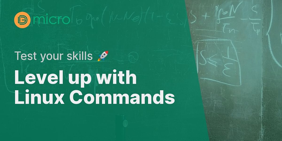 Mastering The Linux Command Line Quiz Dg Micro 