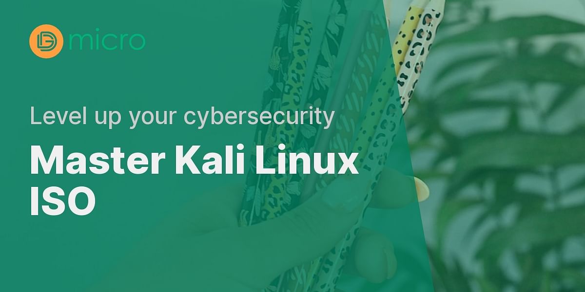 Understanding Kali Linux Iso A Quiz For Beginners Dg Micro